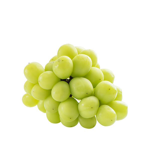 Korean Shine Muscat Seedless Grapes (3 Bunches) - Skcfruits | Skc Fruits